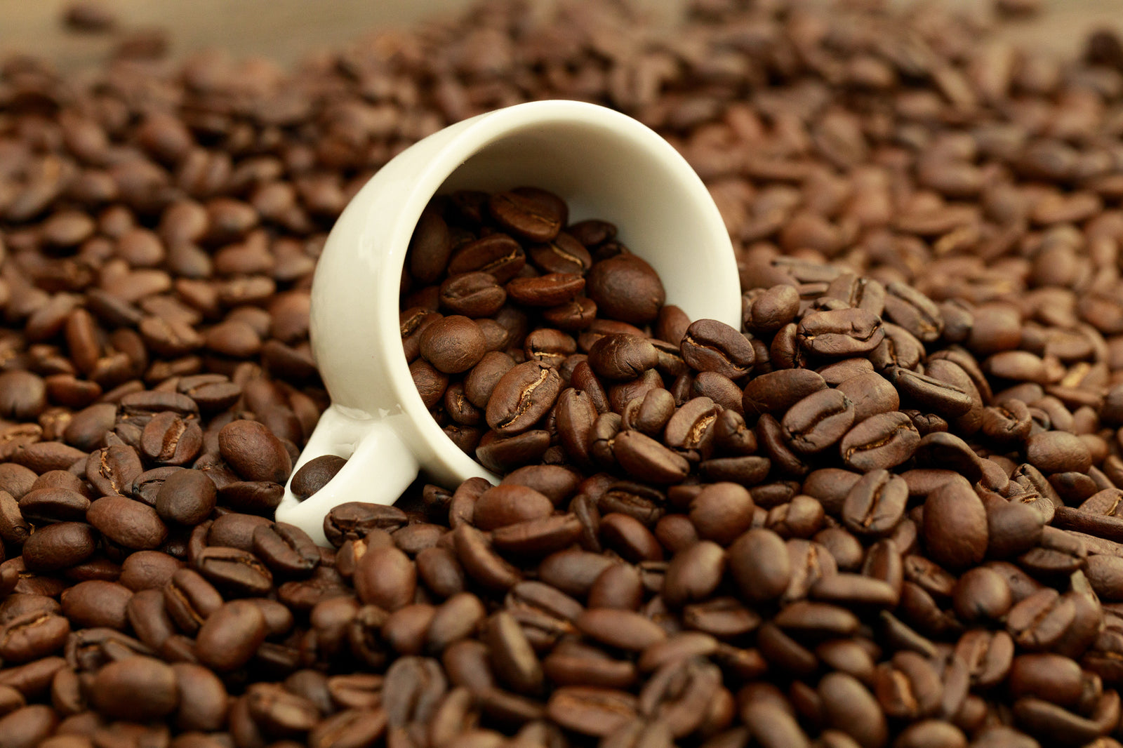 Avanti Coffee Company