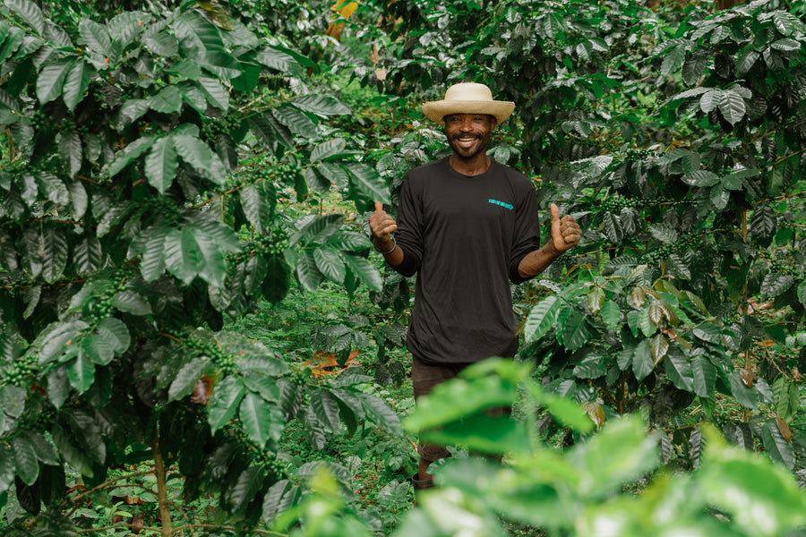 Avanti Coffee Company